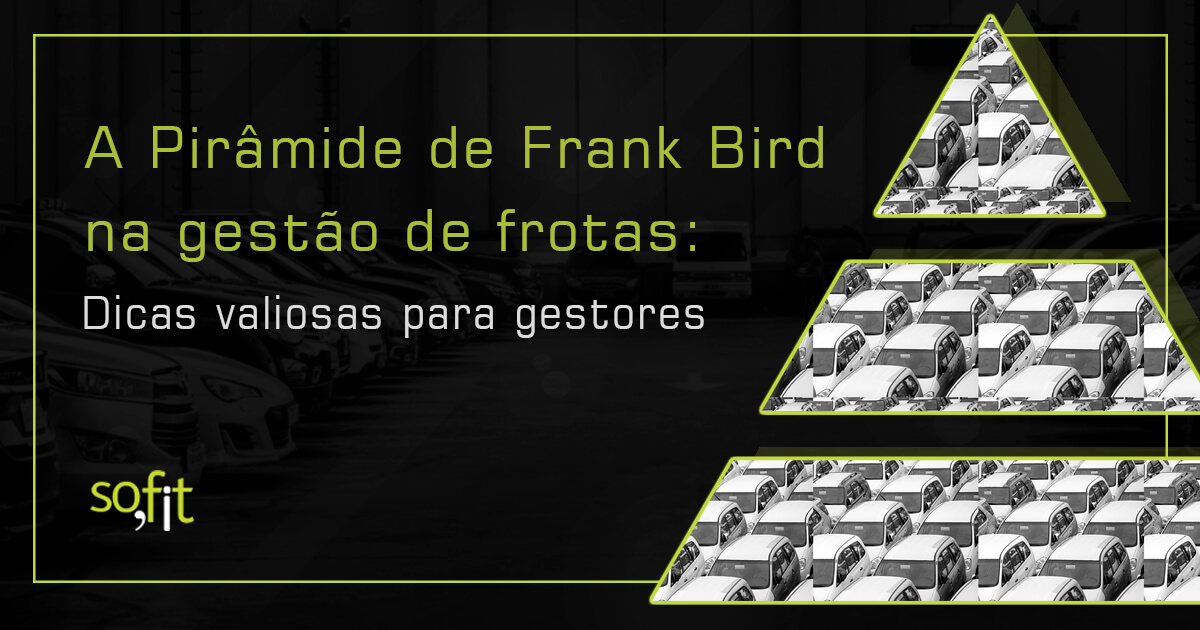 Pirâmide de Frank Bird na Gestão de Frota: dicas valiosas para gestores!